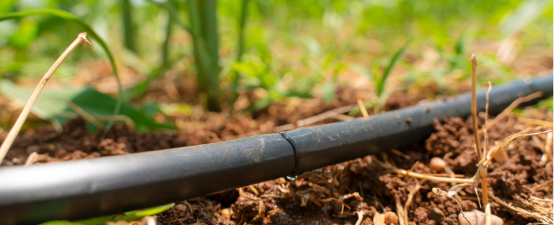 Drip Irrigation Installers Port St. Lucie, FL | Veterans Discount ...